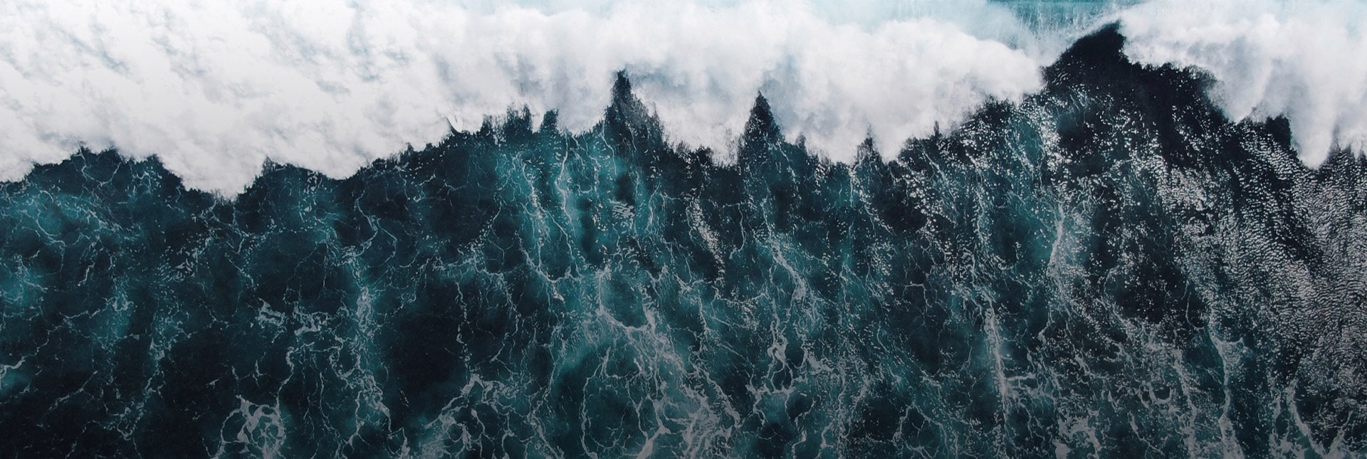 Plastic Collection Days | AU Panerai Official Website