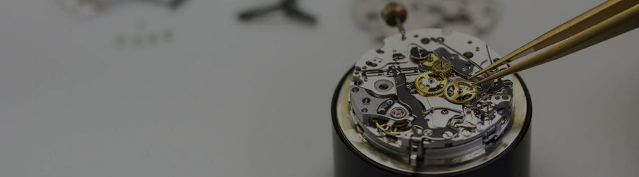 Watch Overhaul Request | SG Panerai Official Website