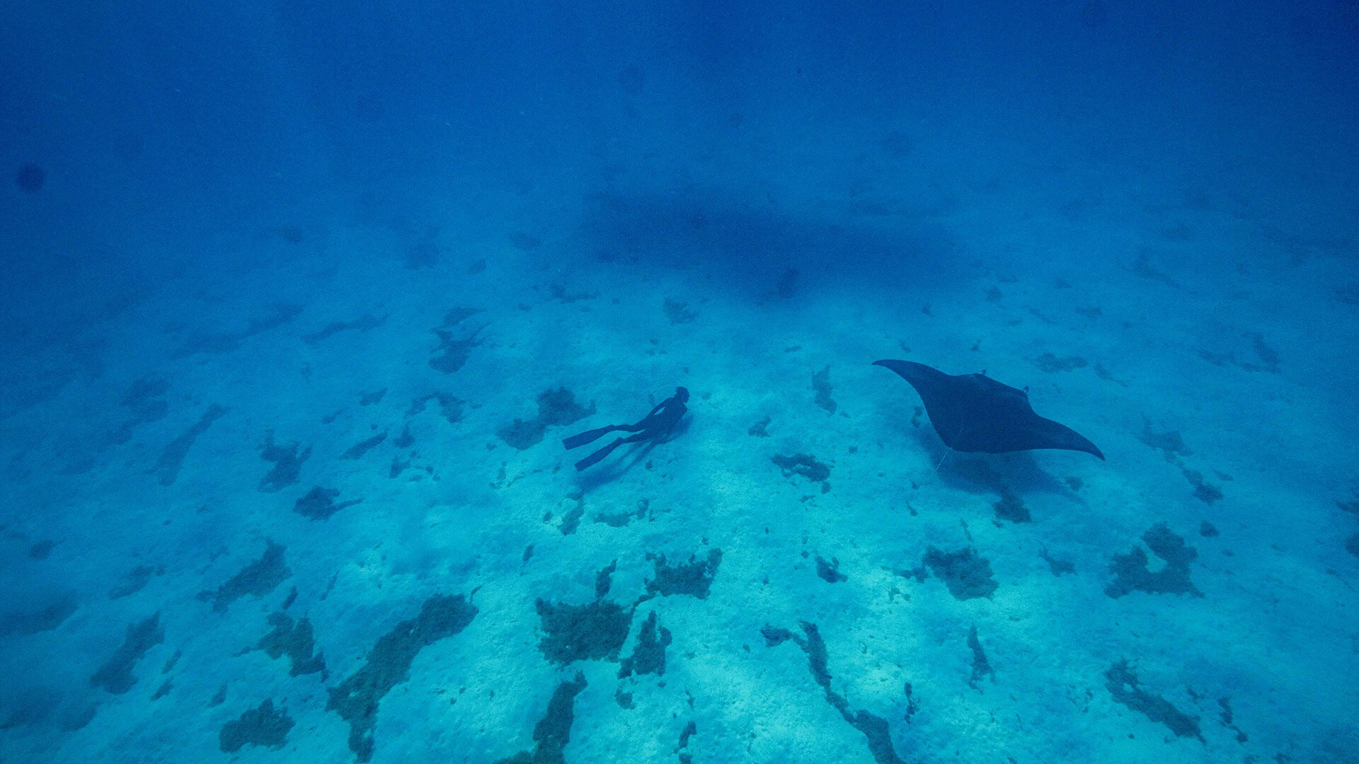 Panerai Experiences | US Panerai Official Website