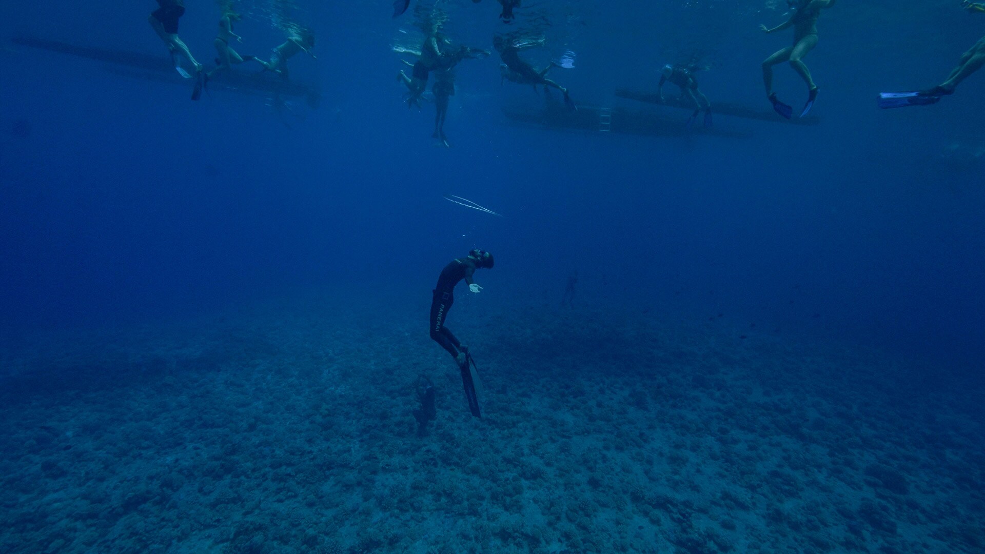 Panerai Experiences | US Panerai Official Website