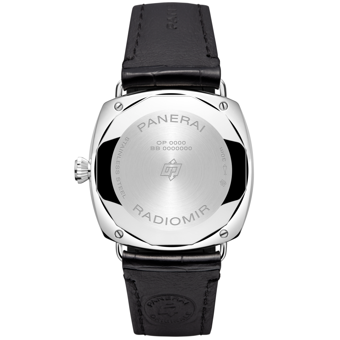 Panerai Radiomir Watches | WW Panerai Official Website